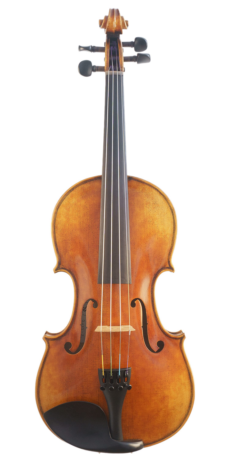 Violina Ververia – Lion Strings